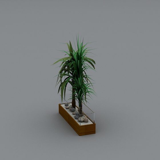 Indoor Plant Display Rack 3D model