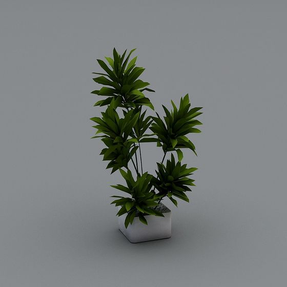 Realistic Bamboo Plant 3D model
