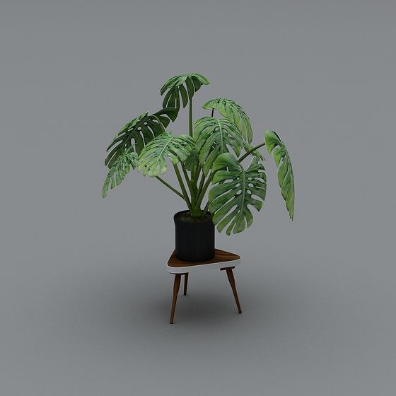Monstera Plant Stand 3D Model – Realistic Low-Poly Design