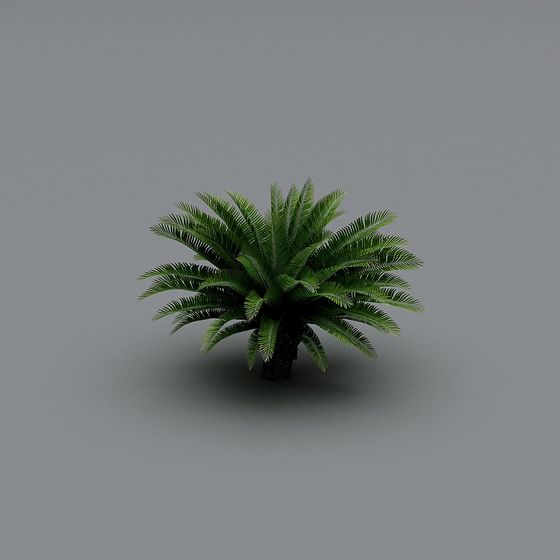 Vibrant Cycas Tree Low-Poly 3D Model