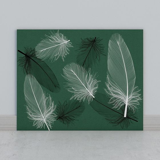 Charming Feather 3D Model for Various Creations
