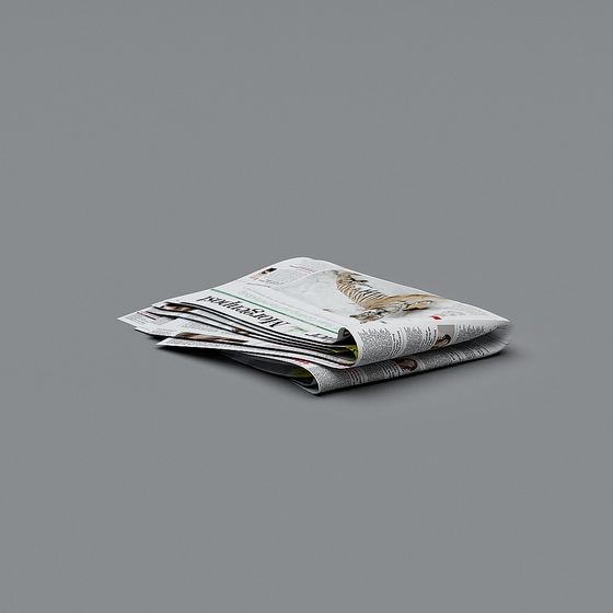 Realistic Morning Post Newspaper 3D Model