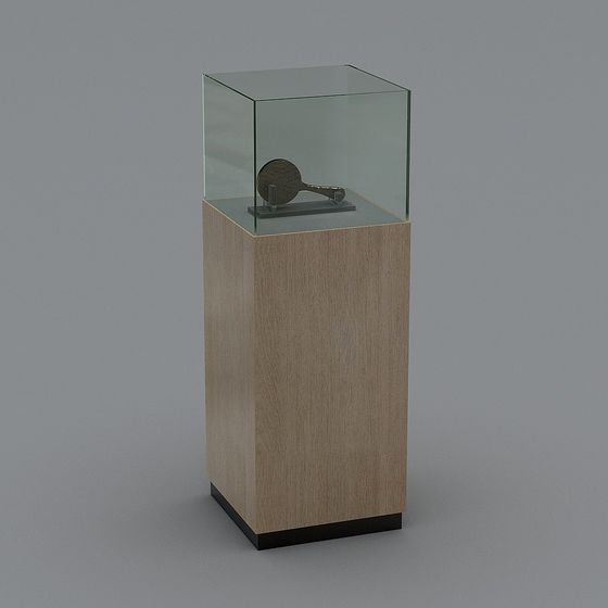 Elegant Museum Display Case 3D model