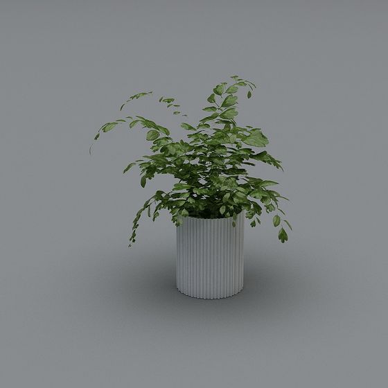 Urban Greenery Low-Poly Plant Pot 3D model