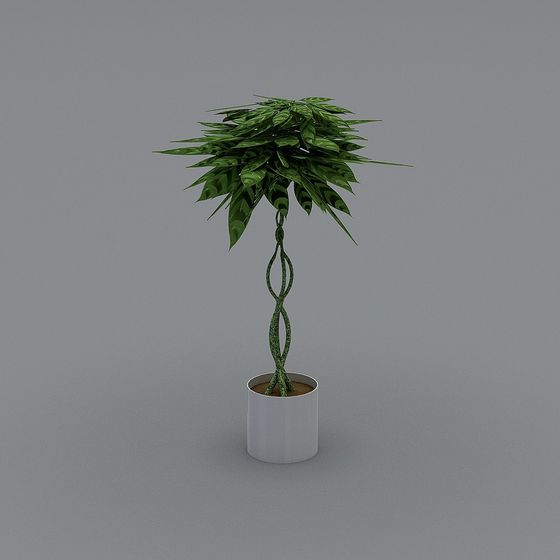 Twisted Greenery 3D Model - Low Poly Plant Design