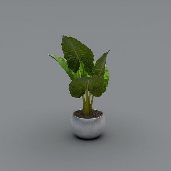 Urban Greenery Low-Poly 3D Model