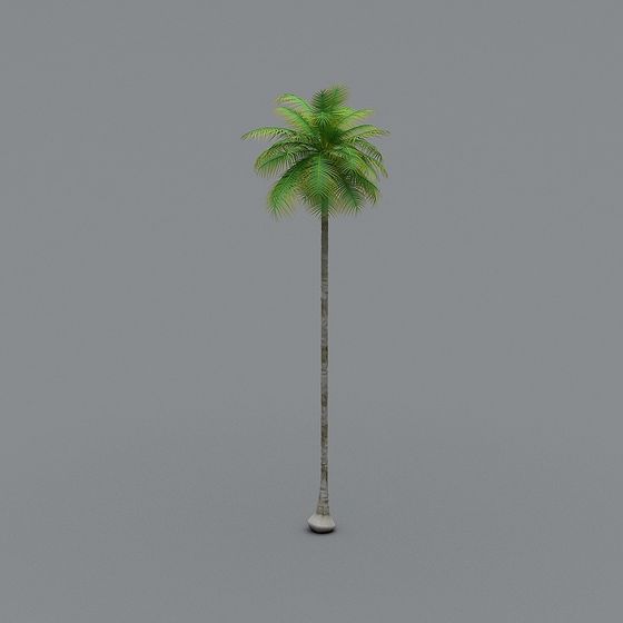 Realistic Palm Tree 3D Model – Low Poly Tropical Tree
