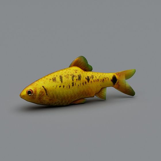 Low Poly Goldfish 3D Model – Stylized Underwater Fish