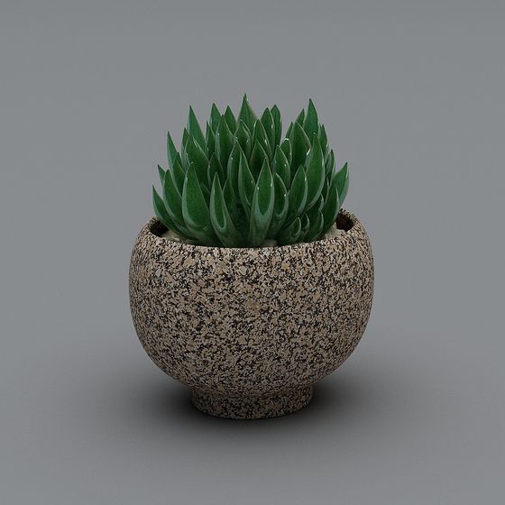 Rock Planter with Succulents 3D Model – Realistic Low-Poly Design