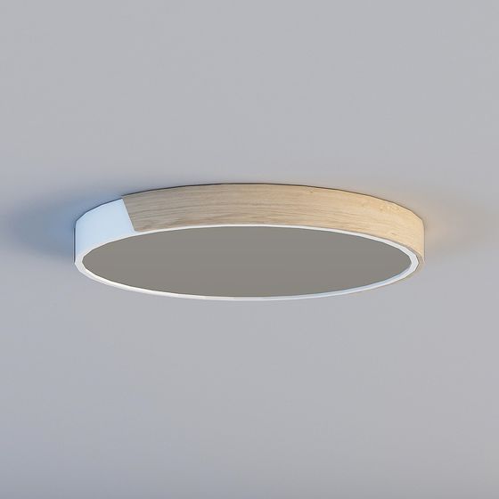 Modern Gray Ceiling Light 3D Model - Elegant Spaces Free