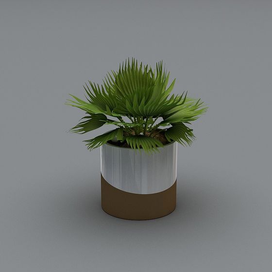 Realistic Indoor Plant Pot 3D Model – Natural Design