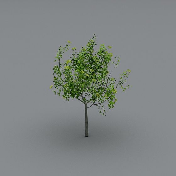 Vibrant Green Tree 3D model