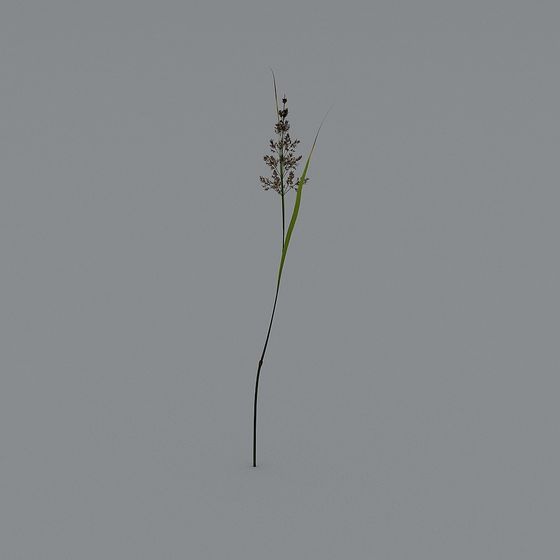 Soul of the Grass Low-Poly 3D Model