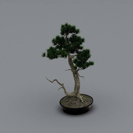 Miniature Pine Tree 3D model for Designers