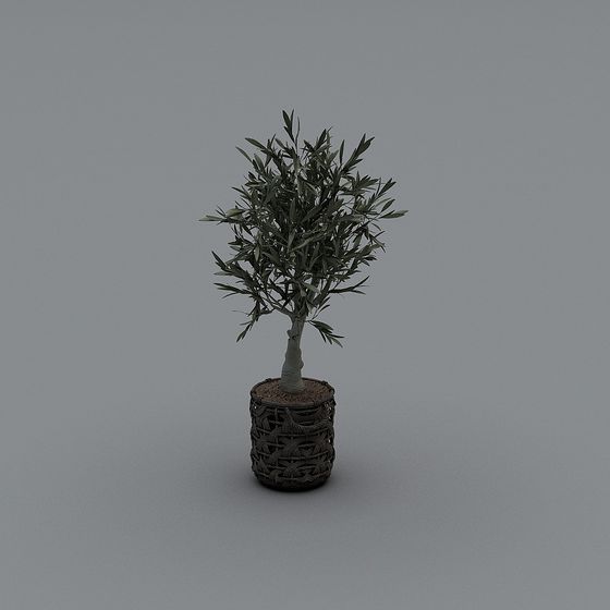 Charming Indoor Olive Tree 3D Model – Low-Poly Natural Decor