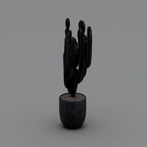Realistic Low-Poly Cactus 3D Model – Nature Inspired