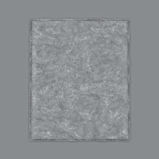 Fuzzy Rug 3D model