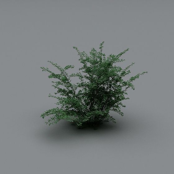 Forest Sprite 3D Model Bush