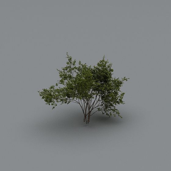 Vibrant 3D Tree Model - Forest Guardian