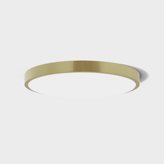 Elegant Ring Light Fixture 3D model
