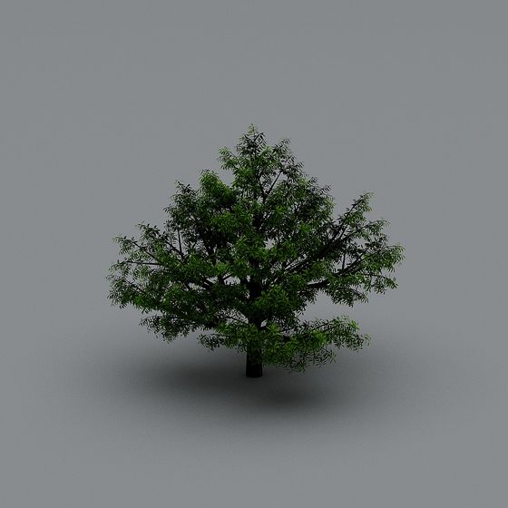 Lifelike Low-Poly Tree 3D Model