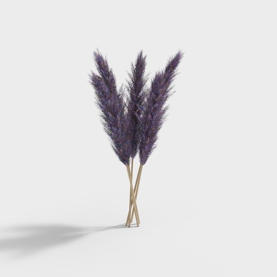 Elegant Purple Reed Grass 3D Model – Detailed Nature Asset