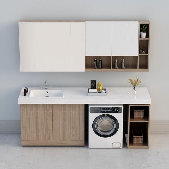 Laundry Room Oasis 3D model