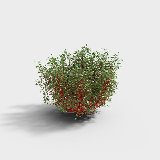Winter Bush 3D Model with Snow Effect