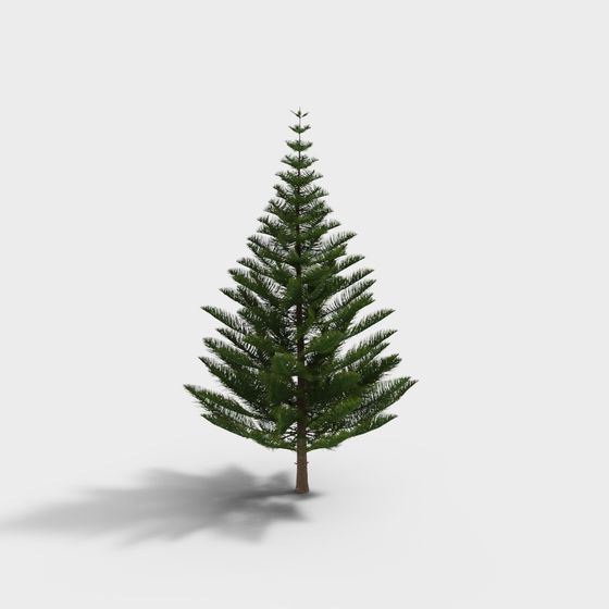 Realistic Christmas Tree 3D Model