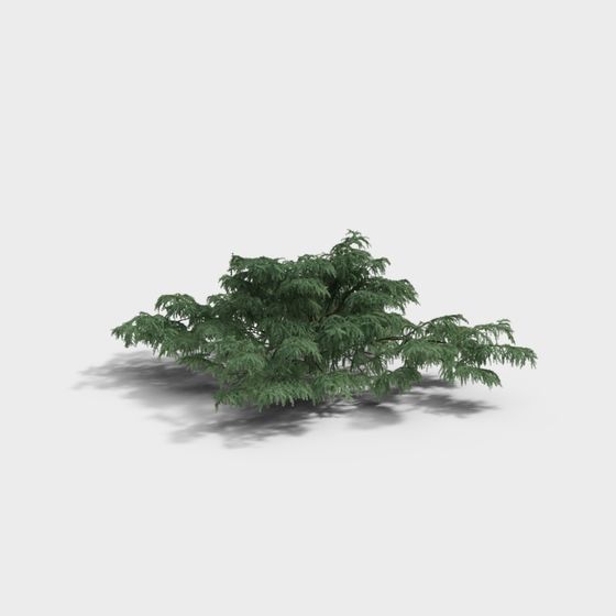 Realistic Low-Poly Pine Tree 3D Model – Natural Texture