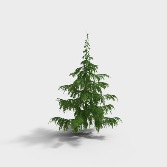 Realistic Low-Poly Evergreen Pine Tree 3D model