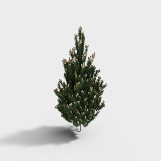 Realistic Pine Tree 3D model for Natural Environments