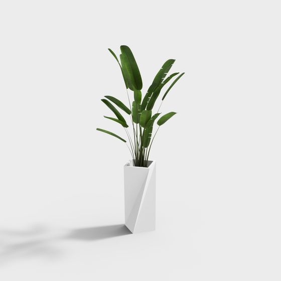 Modern Greenery 3D model for Creative Projects