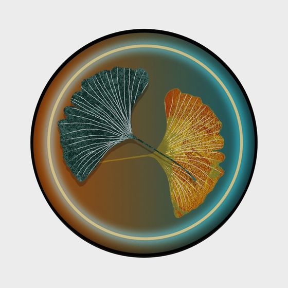 Autumn Leaf Disc 3D model