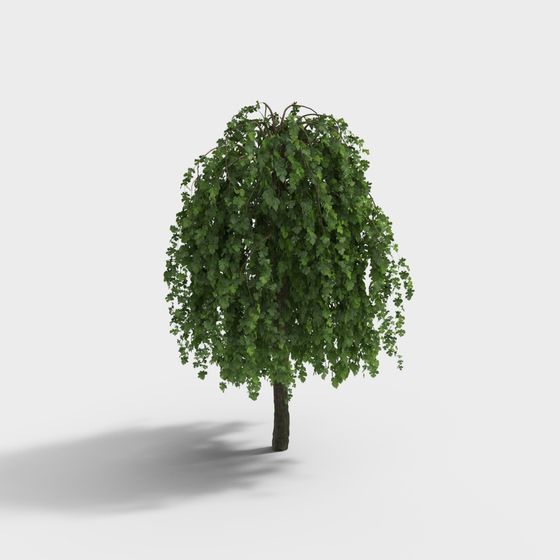 Drooping Ivy Tree Low Poly 3D Model