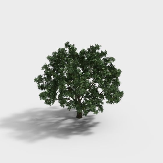 Realistic Oak Tree 3D Model – Low Poly Nature Asset