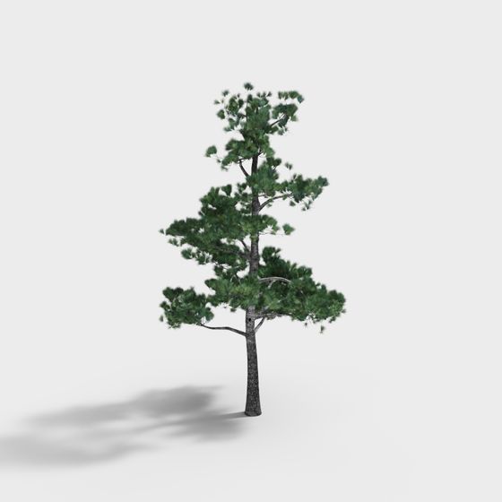 Realistic Low-Poly Pine Tree 3D model