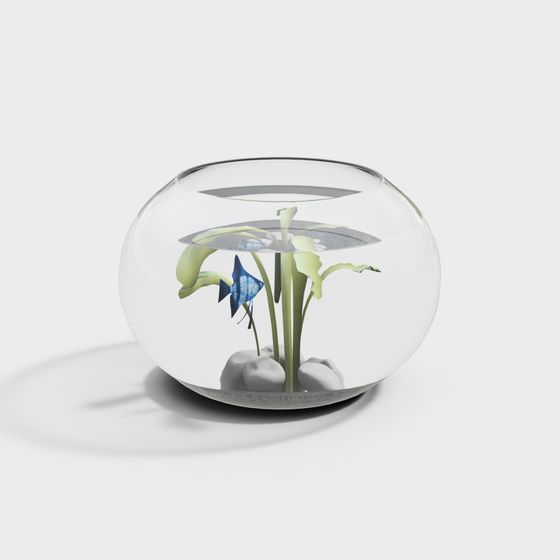 Aquarium with Aquatic Plants 3D model