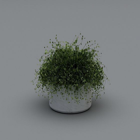 Greenery Pot 3D model