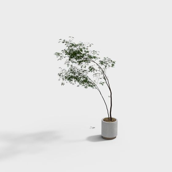 Lively Greenery Small Tree 3D Model – Realistic Textured