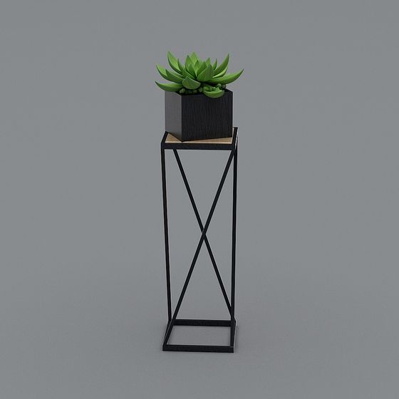 Modern Minimalist Succulent Stand 3D model