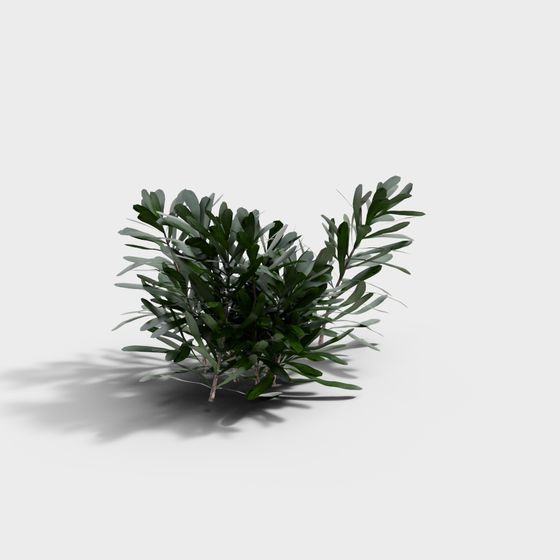 Tropical Plant Cluster Low Poly 3D model