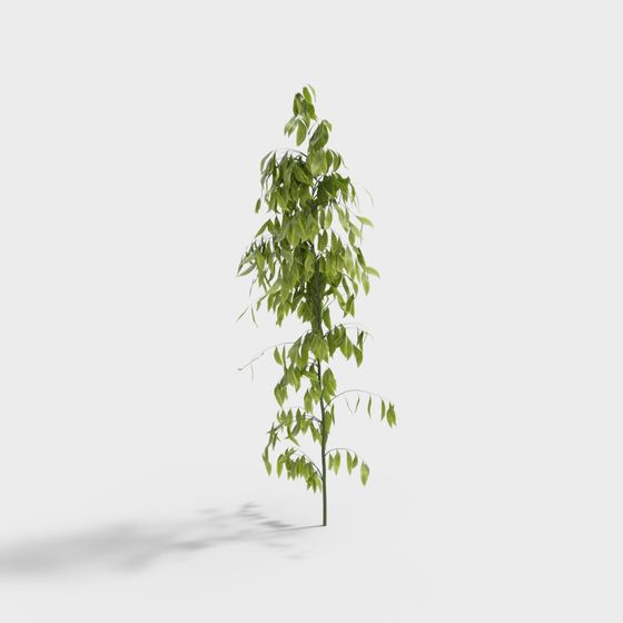 Realistic Weeping Willow 3D Model – Low-Poly Greenery