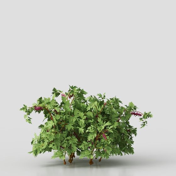 Forest Sprite 3D Model: Lively Low-Poly Plant