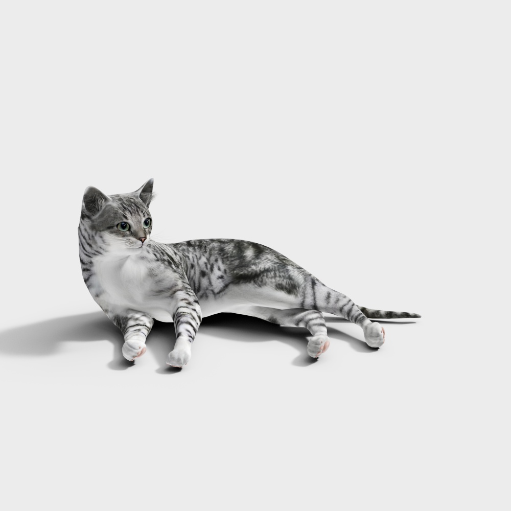 Realistic 3D Cat Model for Your Creative Projects