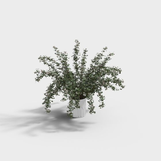 Vibrant Ivy Plant 3D Model – Low-Poly Nature Asset