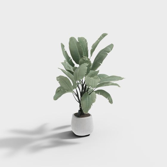 Tropical Plant 3D Model – Low-Poly Green Foliage