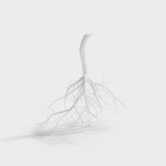 Dance of Roots 3D Model – Detailed Root Structure
