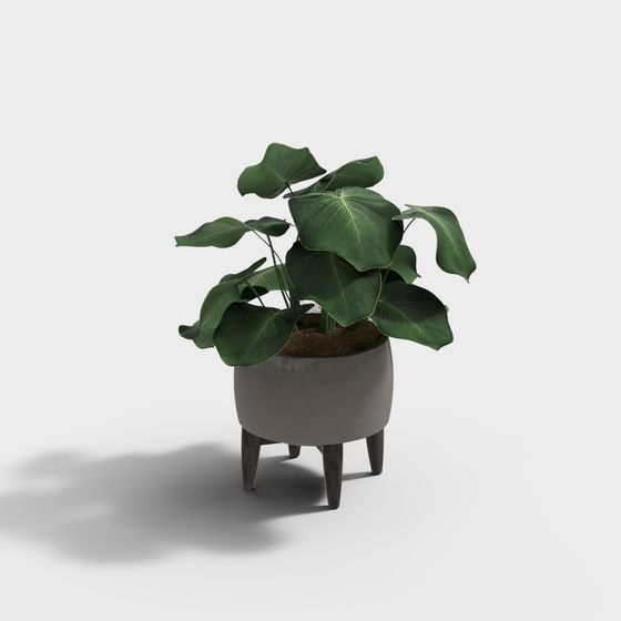 Urban Greenery 3D model for Interior Design