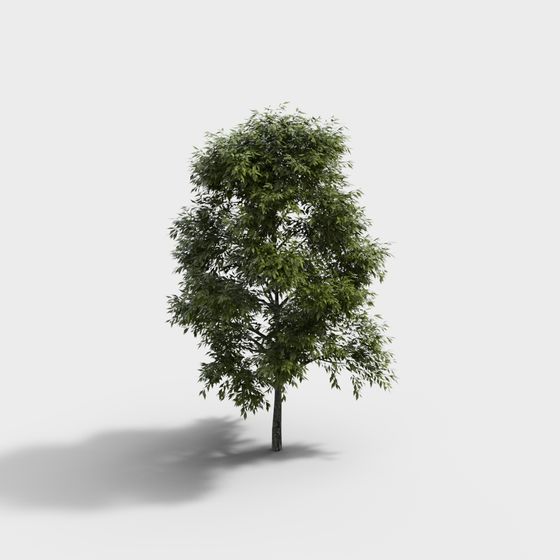 Vibrant Oak Tree 3D model